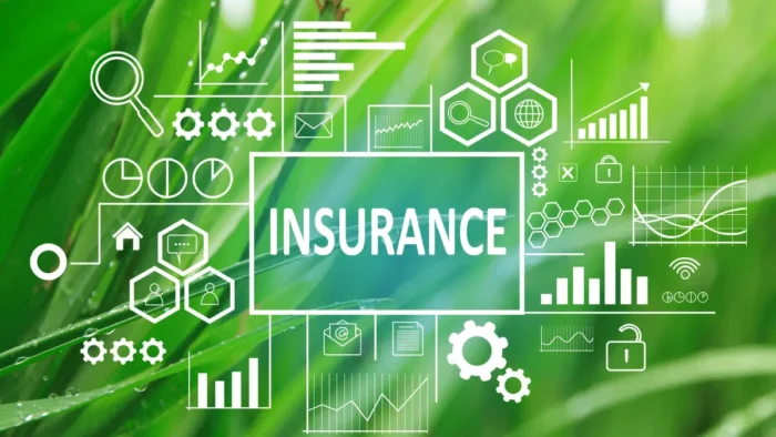 Why Business Insurance is Important for Entrepreneurs