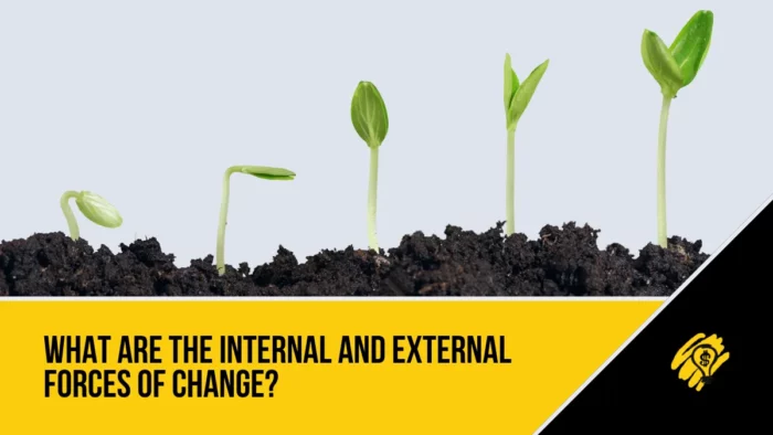 Internal and External Forces of Change | Organizational Changes