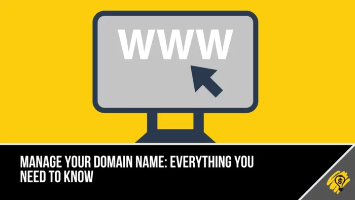Domain Name Basics: A Guide for Non-Techy People