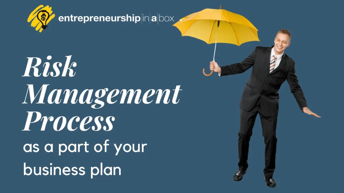 Risk Management Process: A Guide to Business Plan Risk Analysis