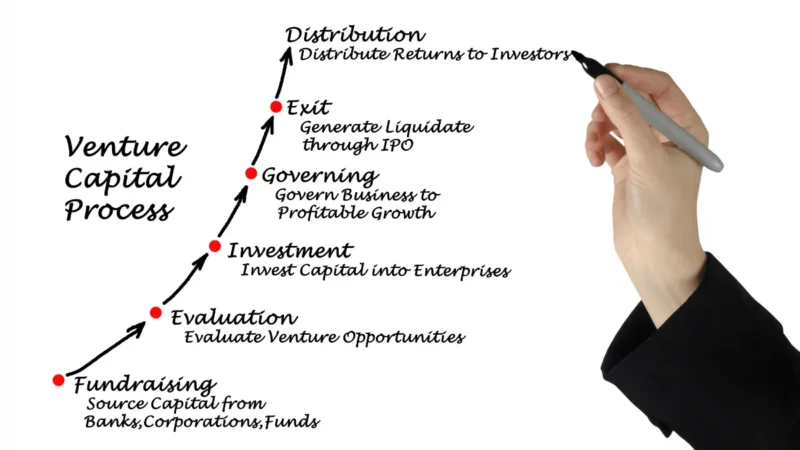 Unlocking the Value of Venture Capital Consultants