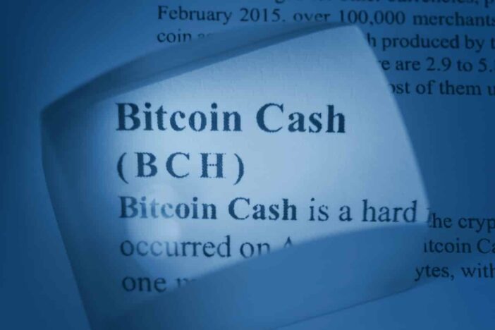 Difference Between Bitcoin And Bitcoin Cash Explained