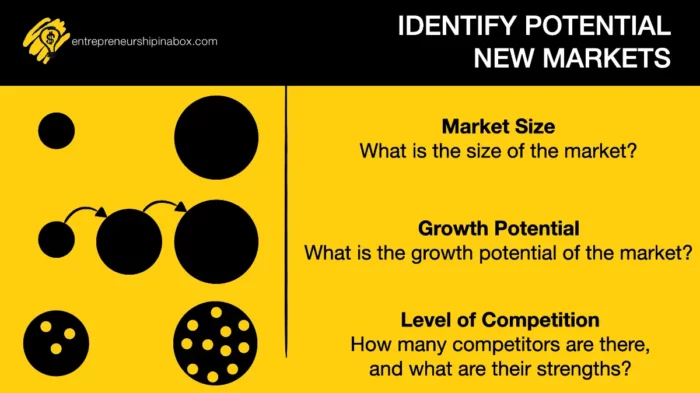 Expand into New Markets: A Comprehensive Guide