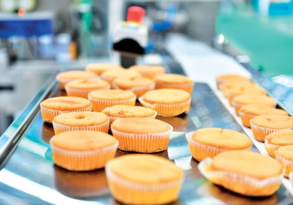 The Essential Equipment for Starting Your Own Bakery | Business Startup