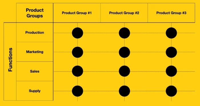Organizational Design: A Comprehensive Framework for Success ...