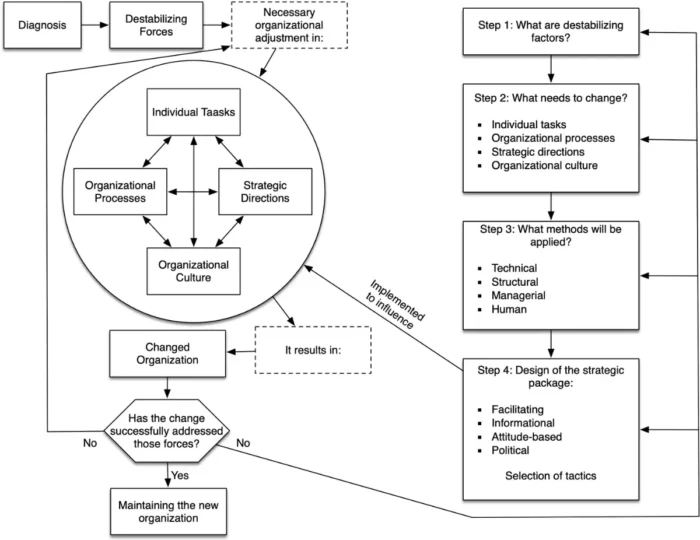 What is Diagnostic Model of Organizational Change