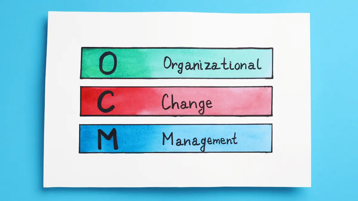 How to Implement the Organizational Change Process?