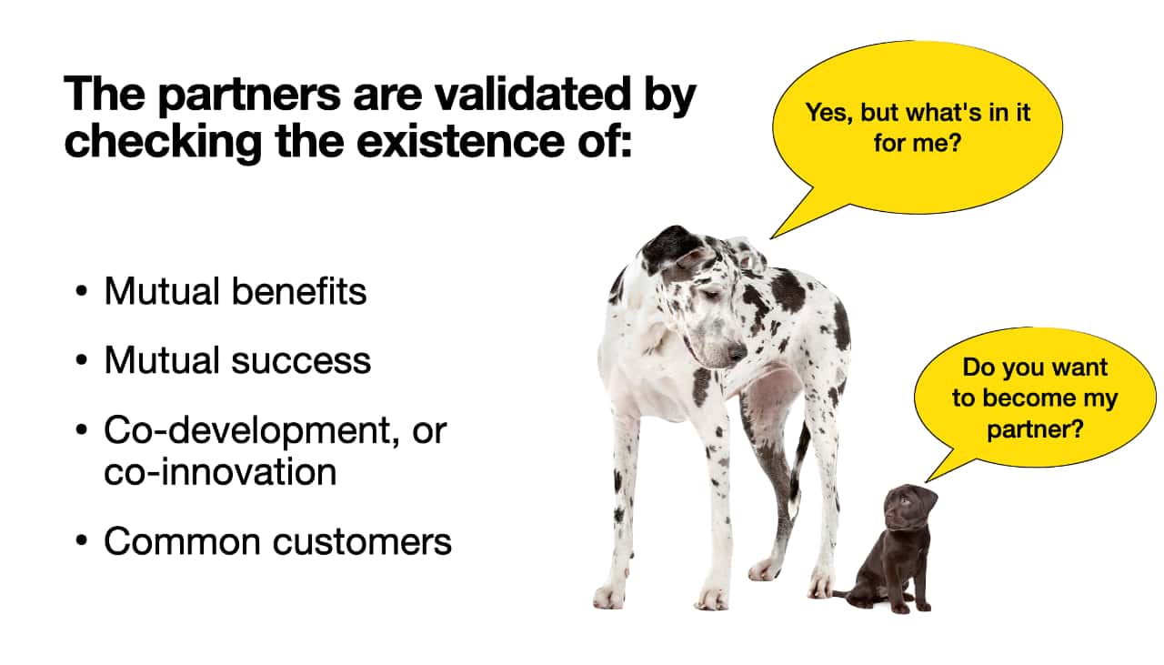 How to Find a Reliable Business Partner | Entrepreneurship